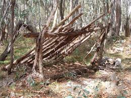 Build A Lean To Fort