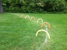 Pool Noodle Backyard Hurdles