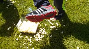 Have a Backyard Popcorn Cup Race