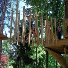 Pocono Tree Ventures