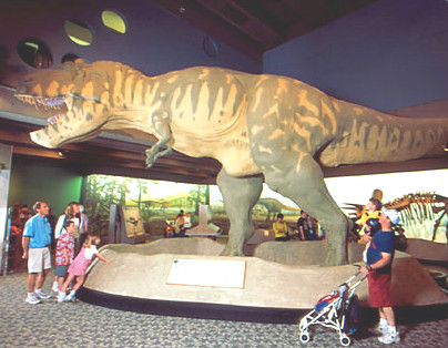 Boston Museum of Science