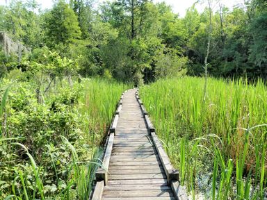 Old Santee Canal State Park