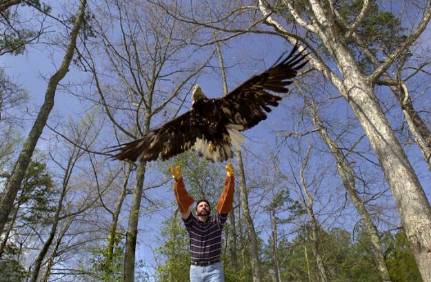 Carolina Raptor Center