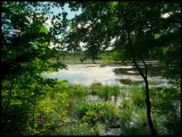 Beaver Meadow Audubon Center