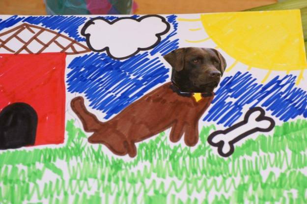 Magazine Starter Art