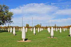 Field of Giant Corn Ears