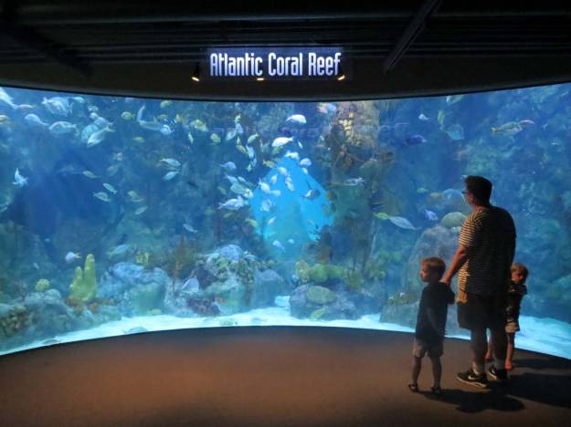 Albuquerque Aquarium