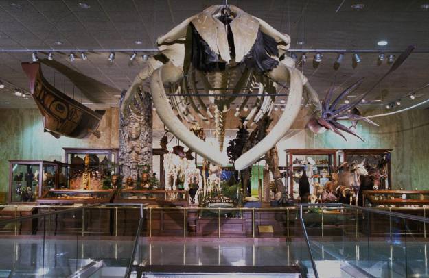 Milwaukee Public Museum