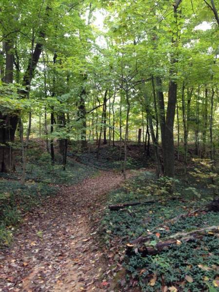 Jefferson Memorial Forest