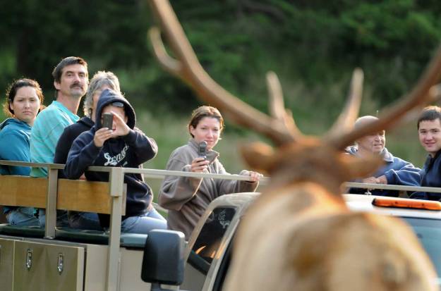 Northwest Trek Wildlife Park